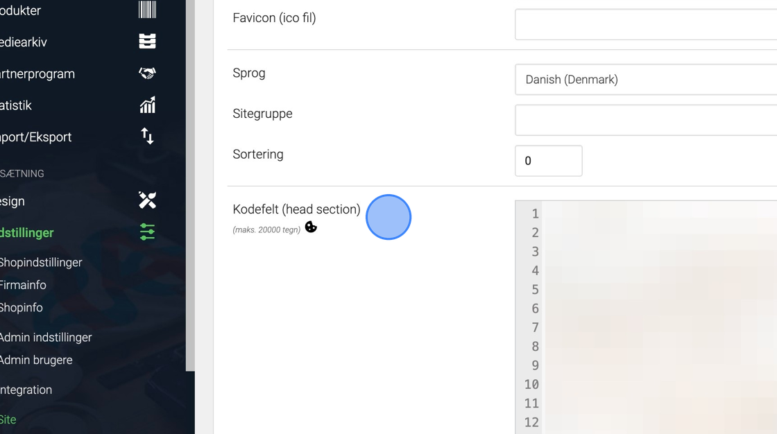 Dandomain Classic - How to insert the GA4 Script